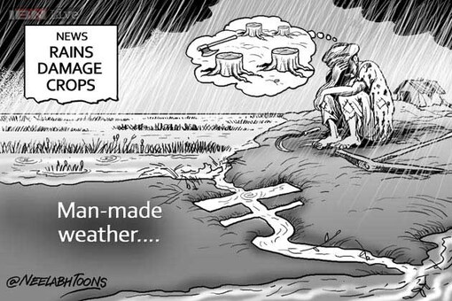 Cartoon of the day: Unseasonal rainfall continues to damage crops - News18