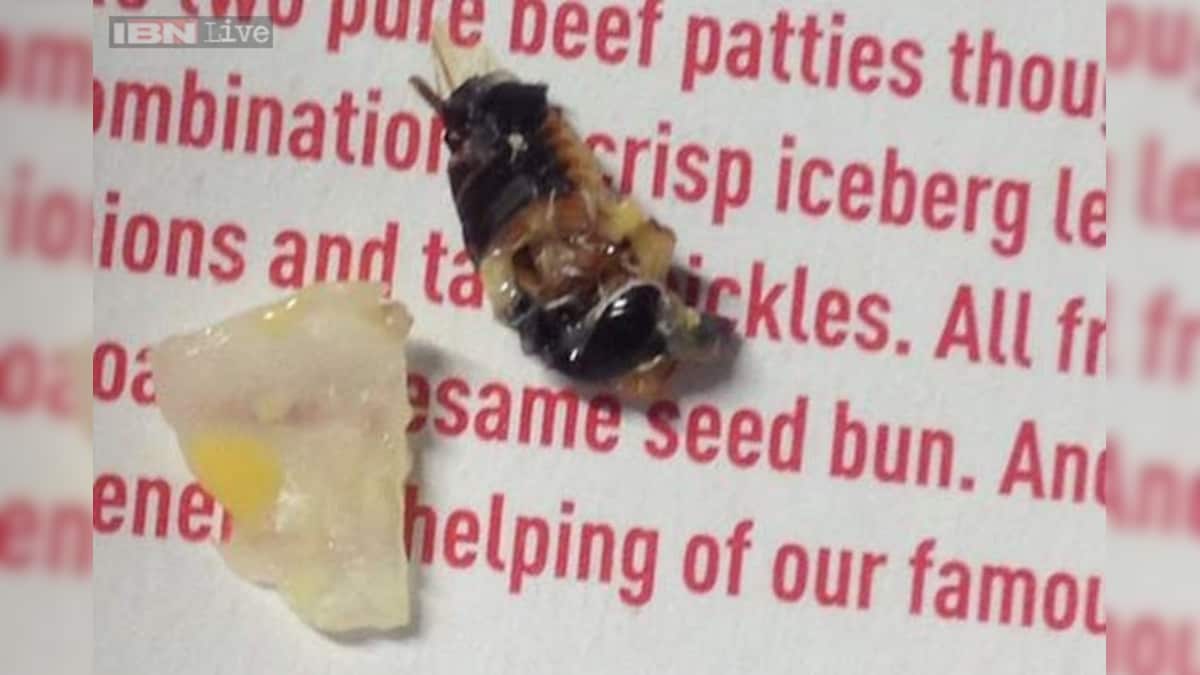 McDonald's faces 'cockroach burger' claim in New Zealand