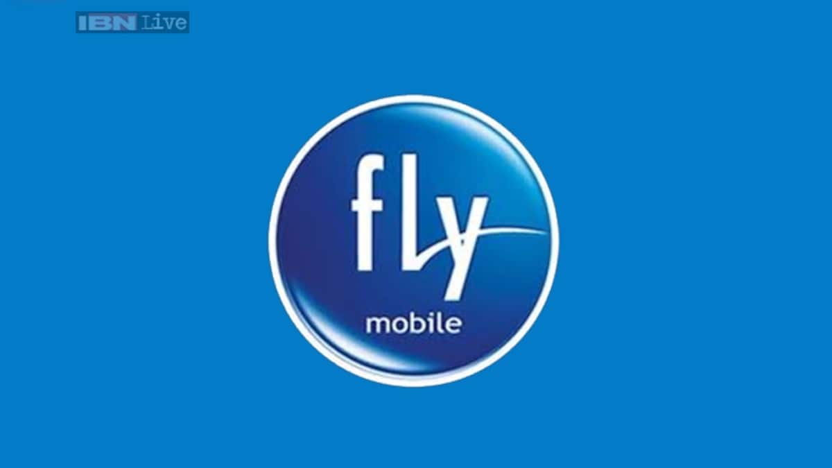 Q&A with Fly Mobiles' Rahul Goel: 'We won't go beyond the four digit ...
