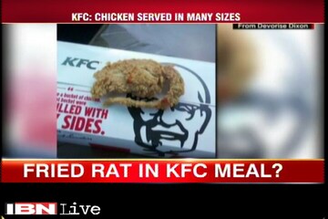 Rat Chicken