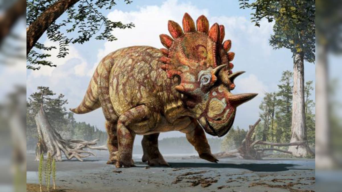 Meet 'Hellboy,' the dinosaur with exotic horns and frill - News18