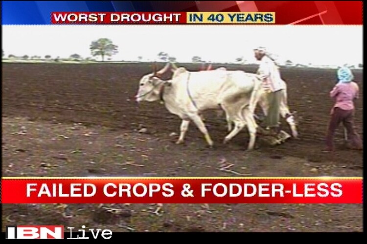 Karnataka sees worst-drought in 40 years Karnataka sees worst-drought in 40 years