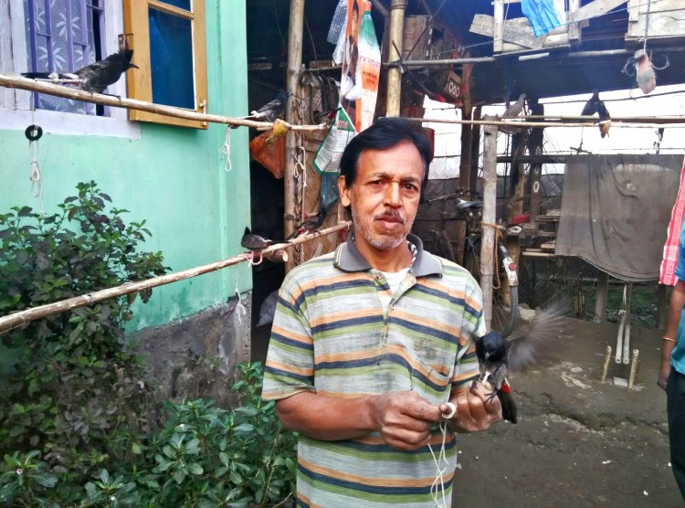 Where birds are made to fight in the name of tradition | India News ...