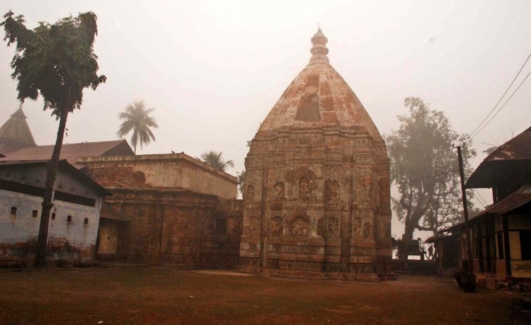 Where birds are made to fight in the name of tradition | India News ...