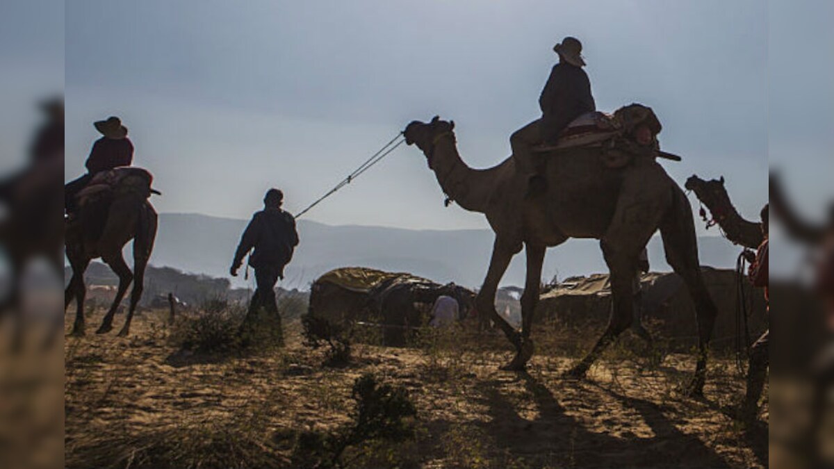 'Terror suspects' caught in Andhra turn out to be Iranian tourists - News18