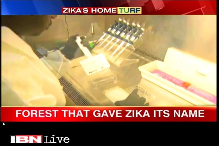 Watch: Scientists visit Zika forest in Uganda - News18