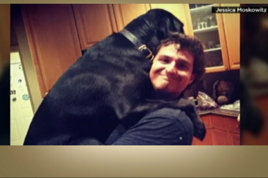 New Research Reveals Dogs Hate to be Hugged - News18