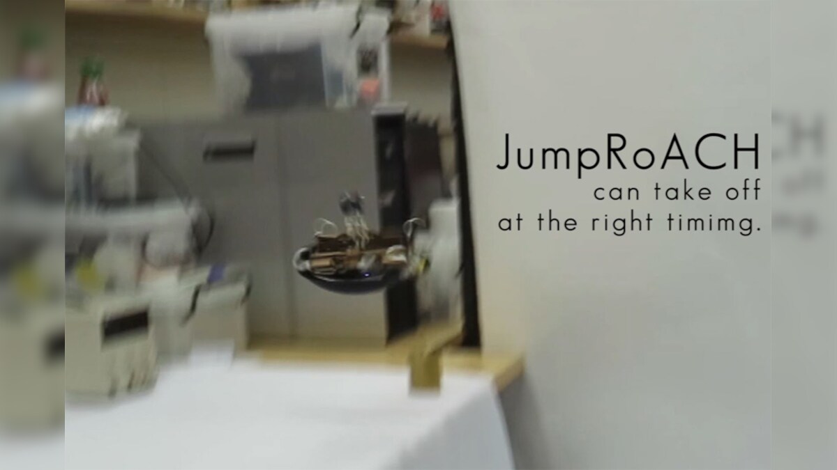 Watch: A Robotic Cockroach That's As Creepy As the Real One - News18