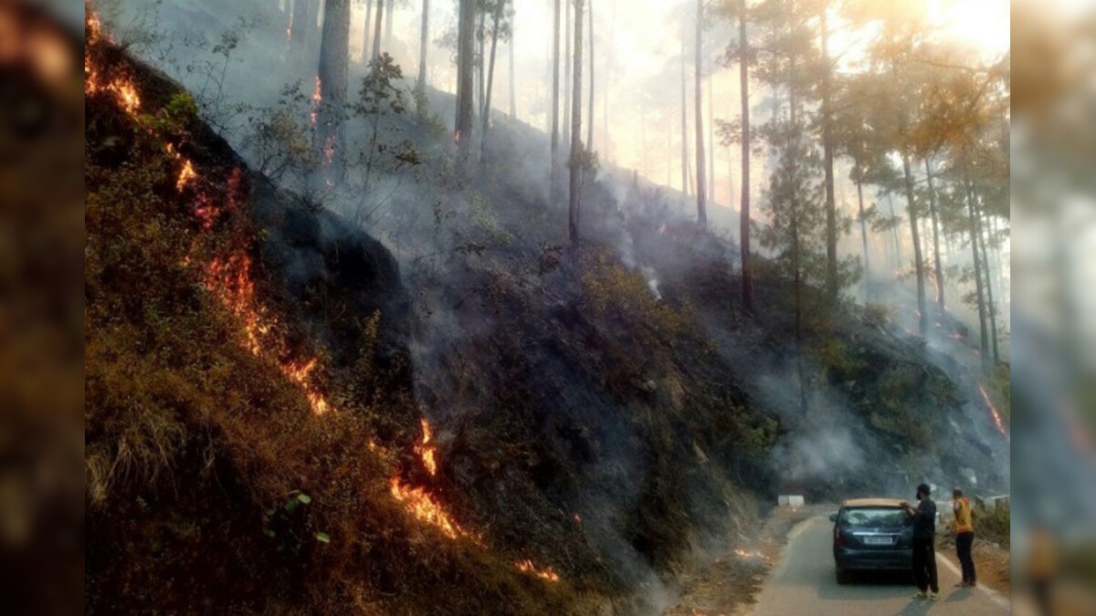 Uttarakhand Forest Fire 'Under Control', Rain Expected on Tuesday
