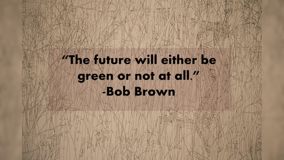 World Environment Day: 10 Quotes That'll Inspire You To Save The Nature