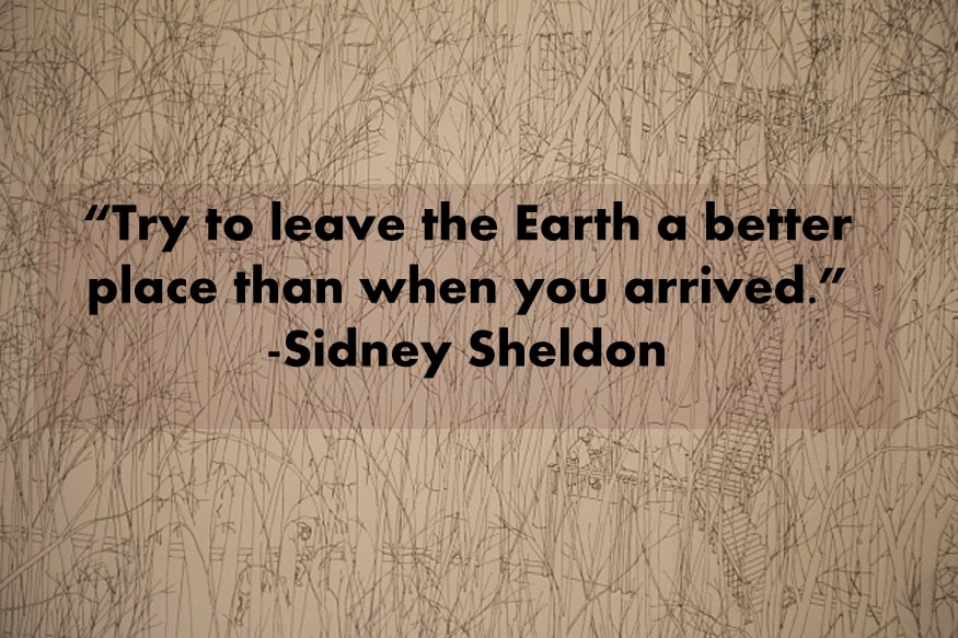 World Environment Day: 10 Quotes That'll Inspire You To Save The Nature ...