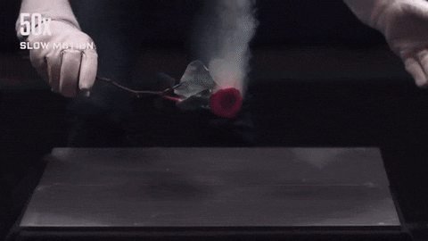 This Guy Freezes Stuff in Liquid Nitrogen, Smashes Them and Teaches Us ...