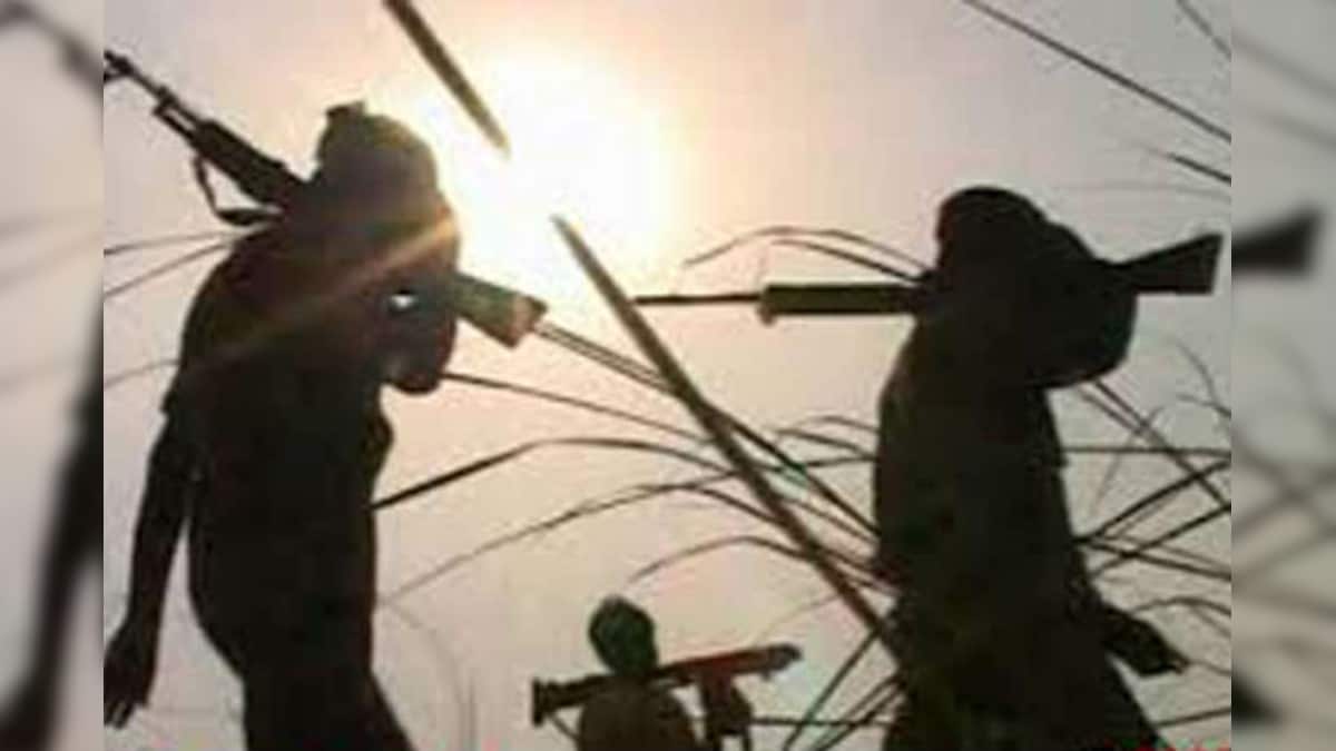 Activist Bela Bhatia Threatened, Asked to Leave Chhattisgarh’s Bastar ...