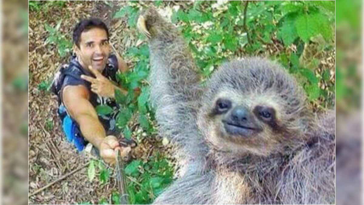 This Man Clicked A Selfie With A Smiling Sloth And It's Breaking The ...
