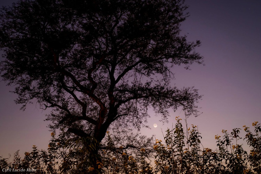 10 Striking Images Of India's Night Sky You've Never Seen Before | Buzz ...