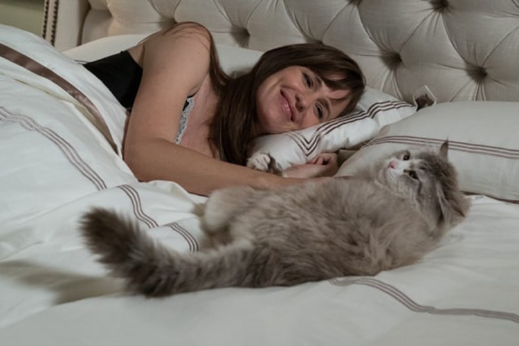 Nine Lives Review: A Half-Hearted Attempt At Comedy That'll Make You ...