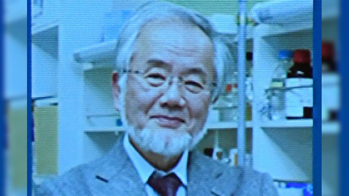 Yoshinori Ohsumi Wins Nobel Prize in Medicine For his Work on Autophagy