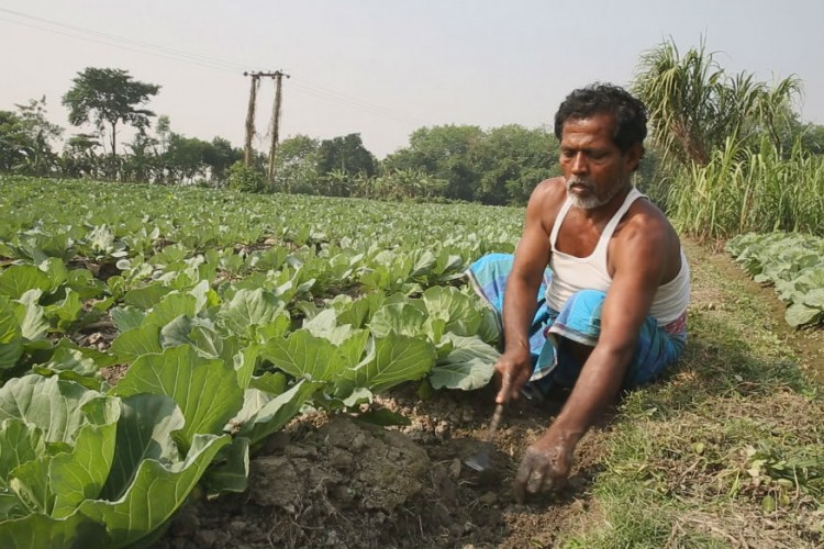 In Rural India, Cashless Today Digital Tomorrow? - News18