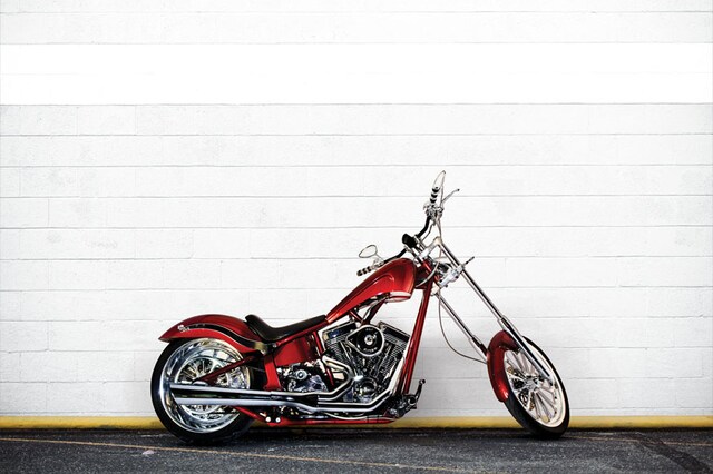 K9 Red Chopper-111: All You Need to Know About the Big Dog in Pictures ...