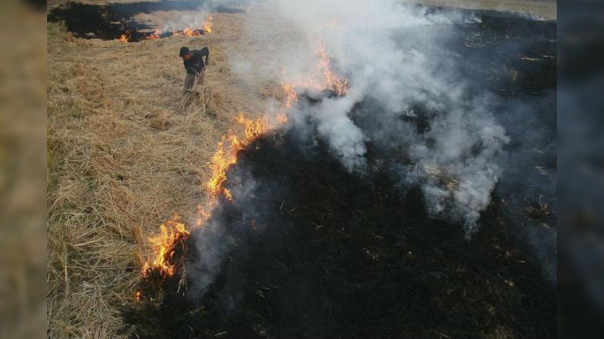 Toxic Air : Young Farmers Vs Old Guard on Crop Burning in Punjab, Haryana