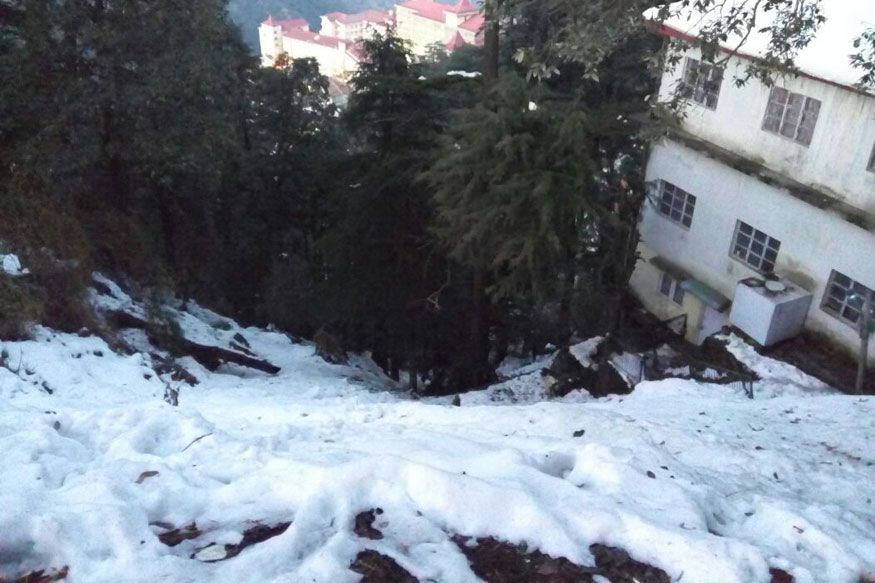 Snowfall in Shimla Cheers Up Tourists, See Pics