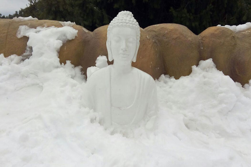 Snowfall in Shimla Cheers Up Tourists, See Pics | Lifestyle News - News18