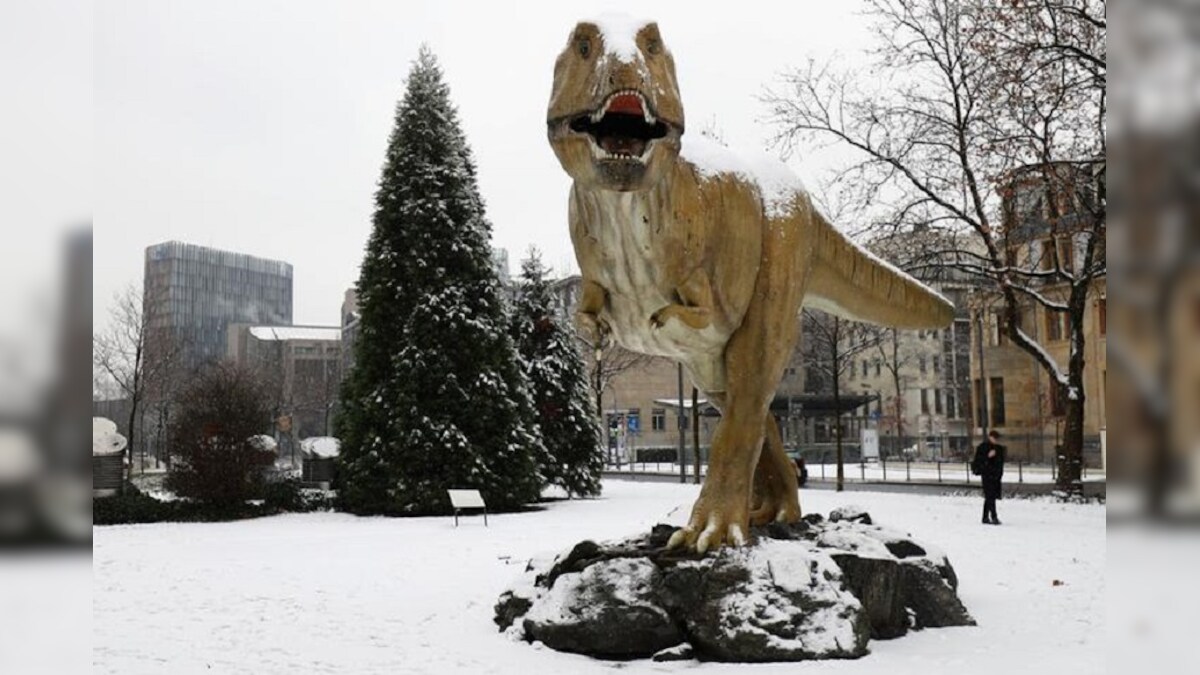 Dinosaur Extinction: Sulphuric Acid Clouds Killed Dinosaurs