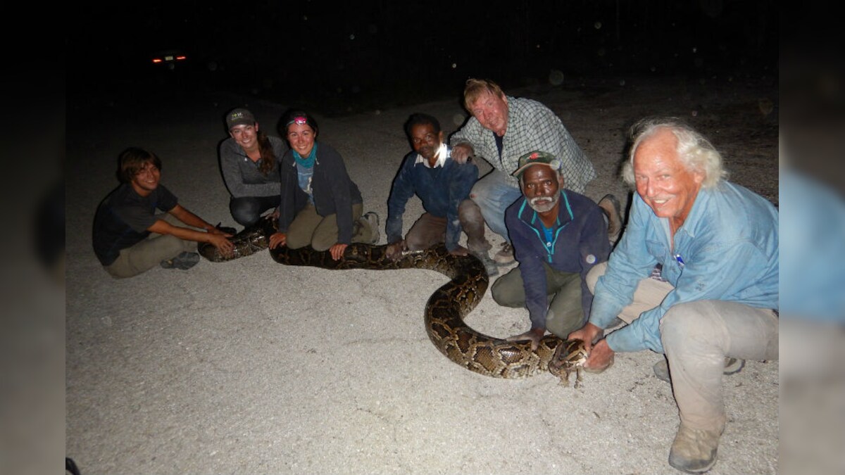 Snake Hunters: Florida Enlists Two Indians to Catch Pythons - News18