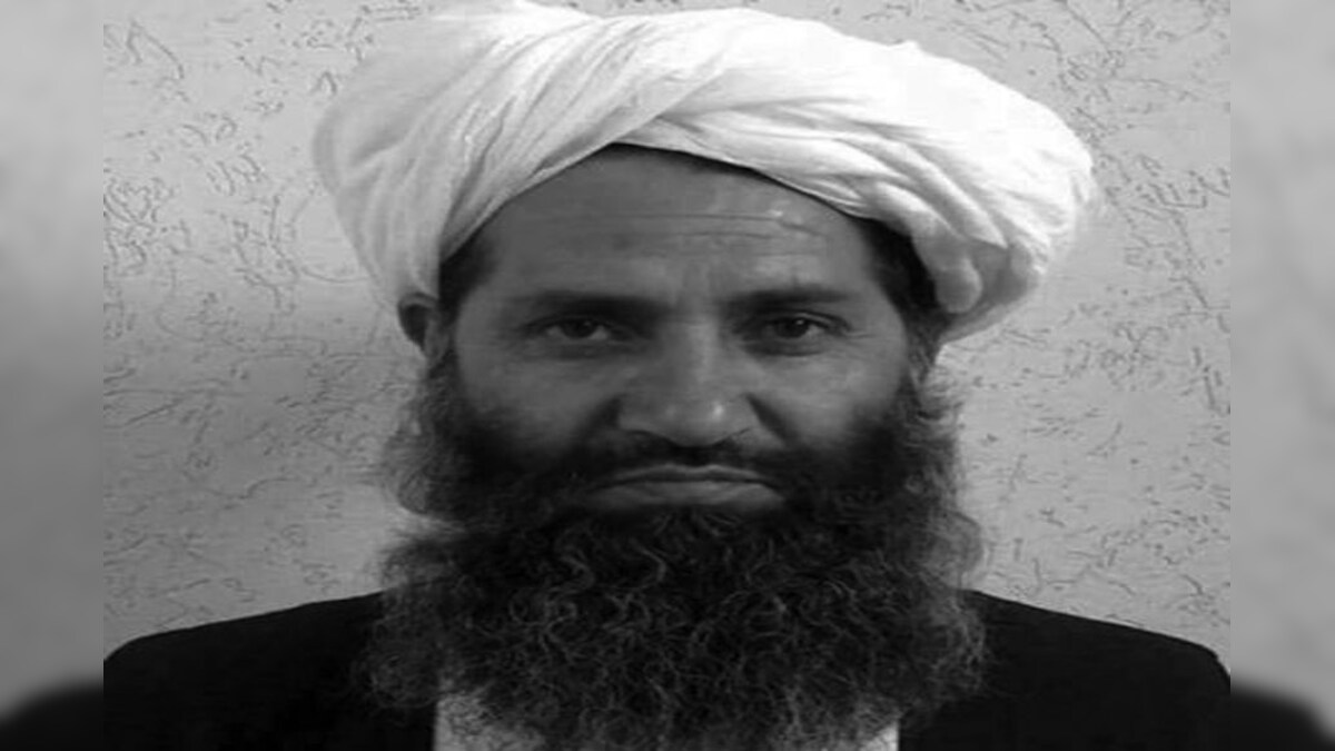 In a Rare Call, Taliban Urges People to Plant More Trees
