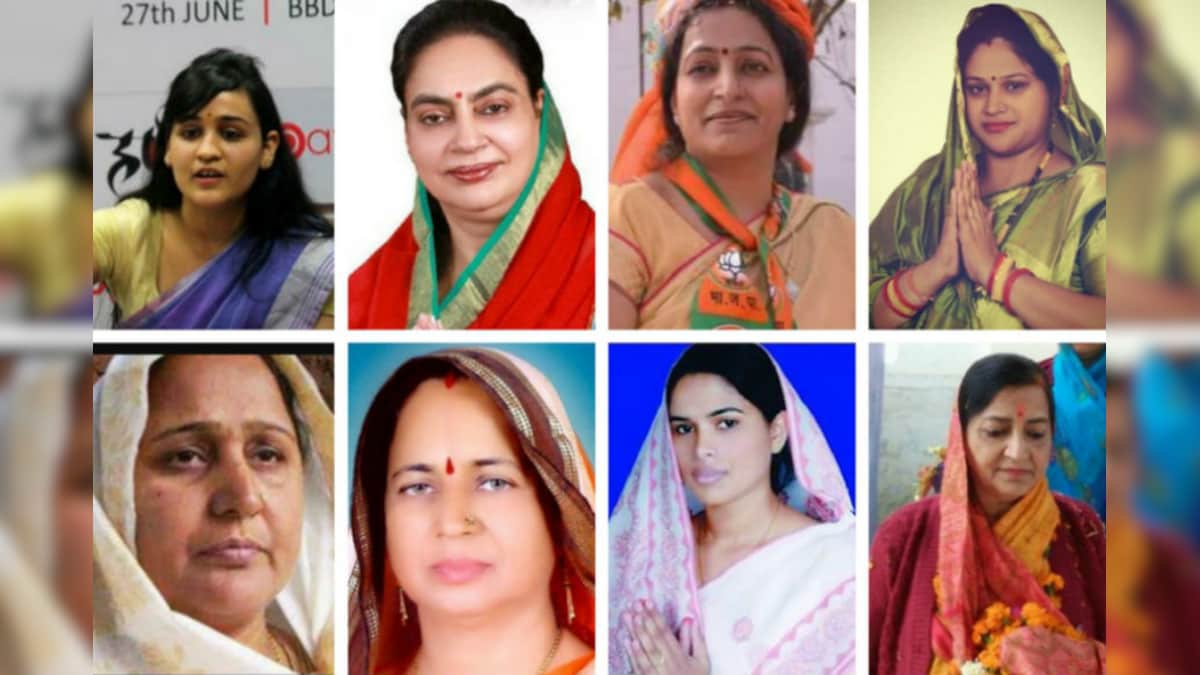 UP Elections 2017: Wives of UP Politicians and Criminals in Poll Fray