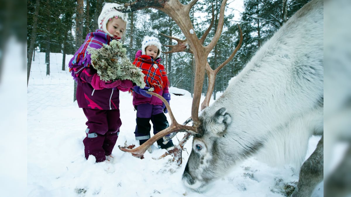 Arctic's Indigenous Sami People to Celebrate National Day