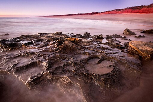 Bigfoot Found: Giant Dinosaur Tracks, Made 95 Million Years Ago ...