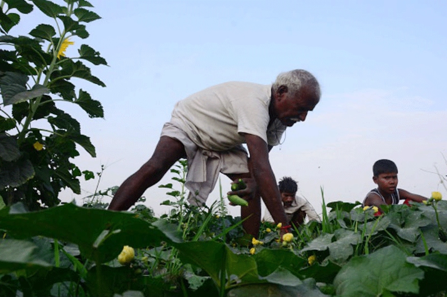 Yogi Adityanath Government Waives Off Farm Loans up to Rs 1 Lakh in UP Yogi Adityanath Government Waives Off Farm Loans up to Rs 1 Lakh in UP
