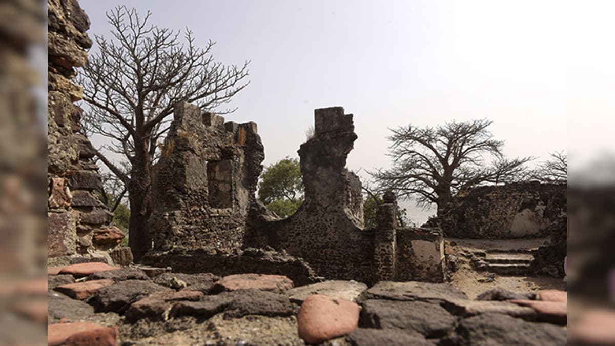 Gambia's Race to Save its 'Roots' on Kunta Kinteh Island - News18