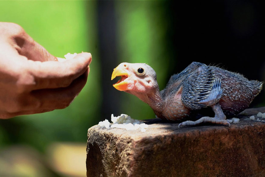 Day in Photos: May 30, 2017