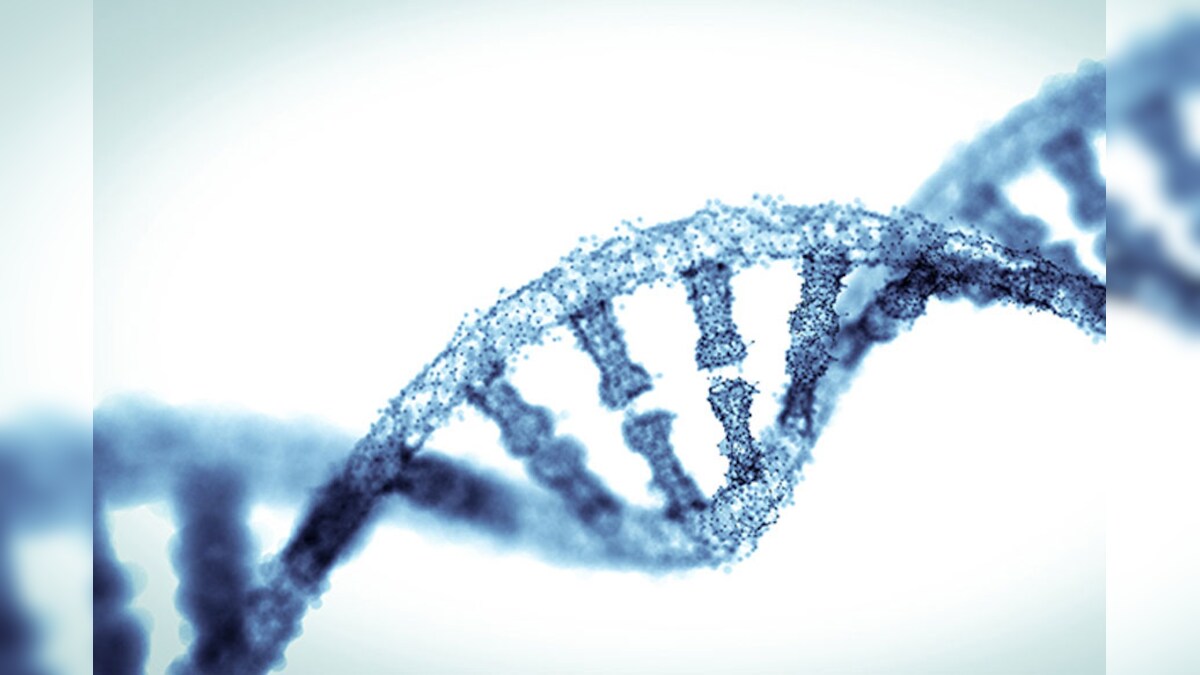 'Smart Genes' Account For 20% of Intelligence - News18