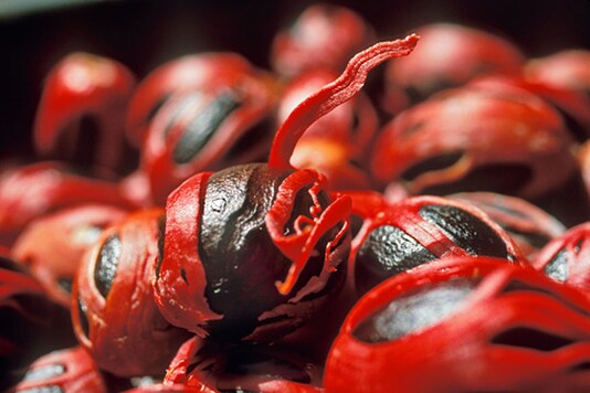 Know Your Spices: Health Benefits and Uses of Mace