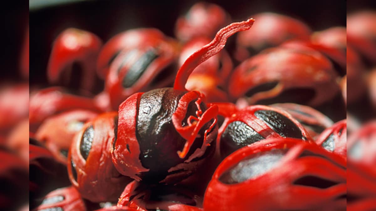 Know Your Spices: Health Benefits and Uses of Mace - News18
