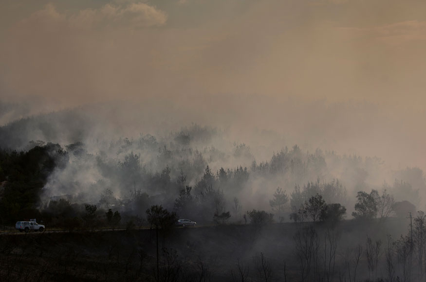Knysna fire: Several killed, 10,000 people evacuated - News18