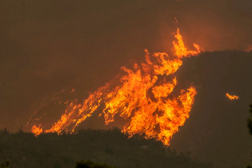Knysna fire: Several killed, 10,000 people evacuated - News18
