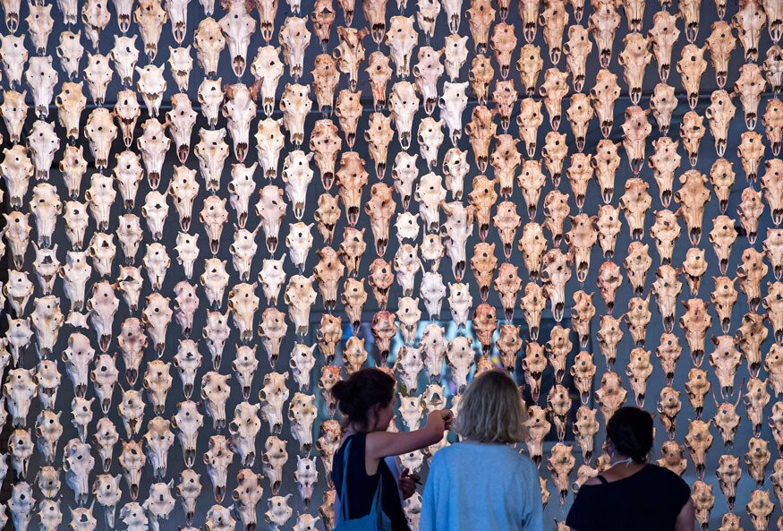 Documenta 14 Art Exhibition in Germany's Kassel - News18