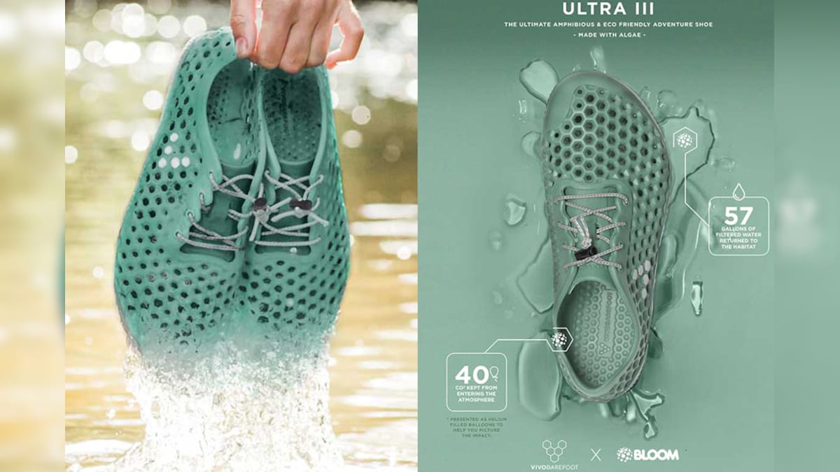 Your Next Shoe Could be Made From Algae - News18