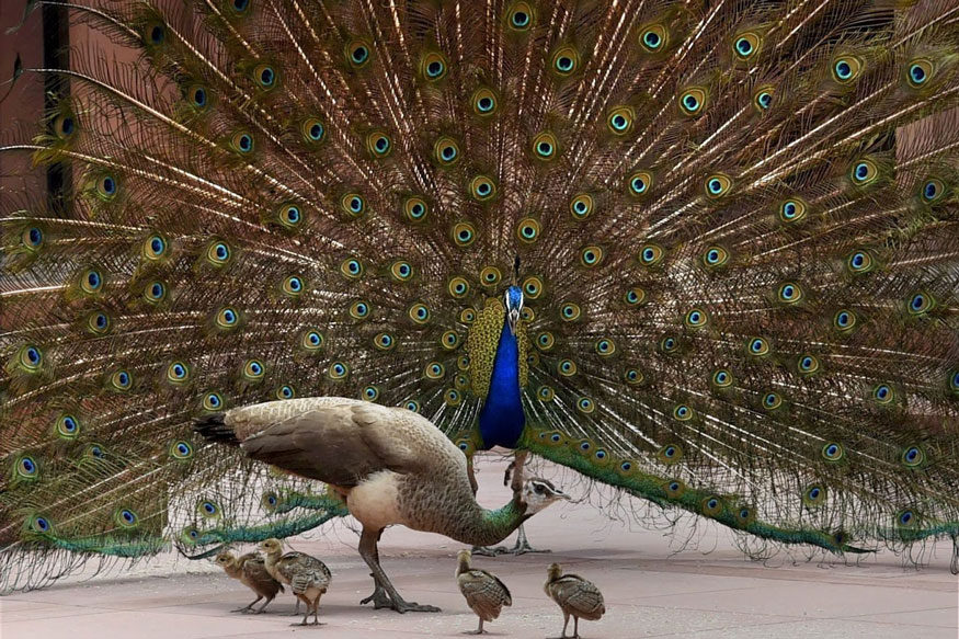 Day in Photos: August 2, 2017