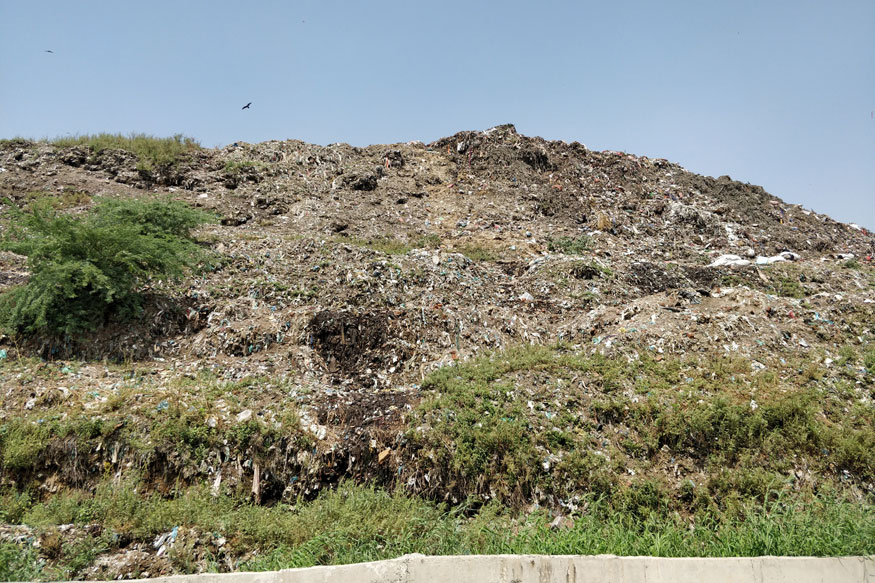 Among Beautiful People Who Live on Delhi's Killer Garbage Mountain ...