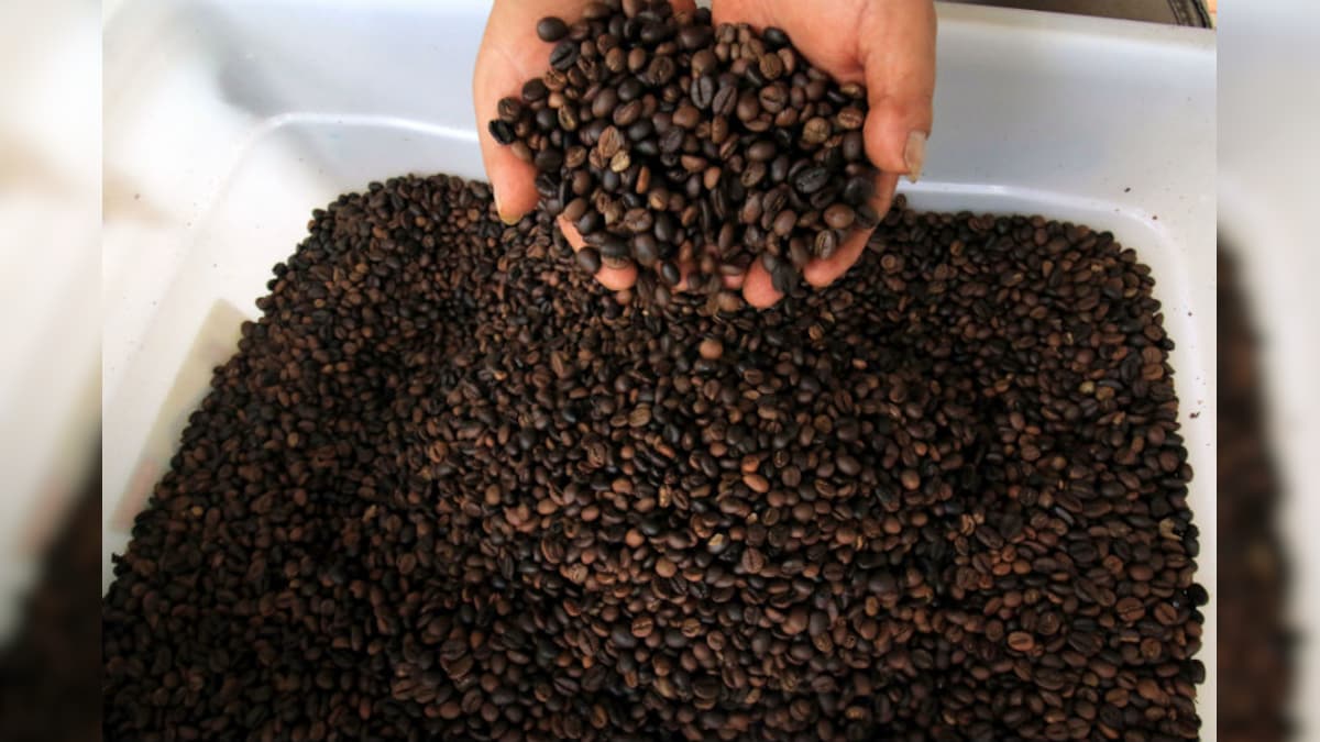 Three Coffees A Day May Have Health Benefits