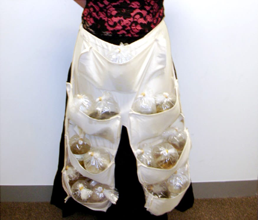 BUSTED! 30 Most Outrageous Animal Smuggling Attempts - News18