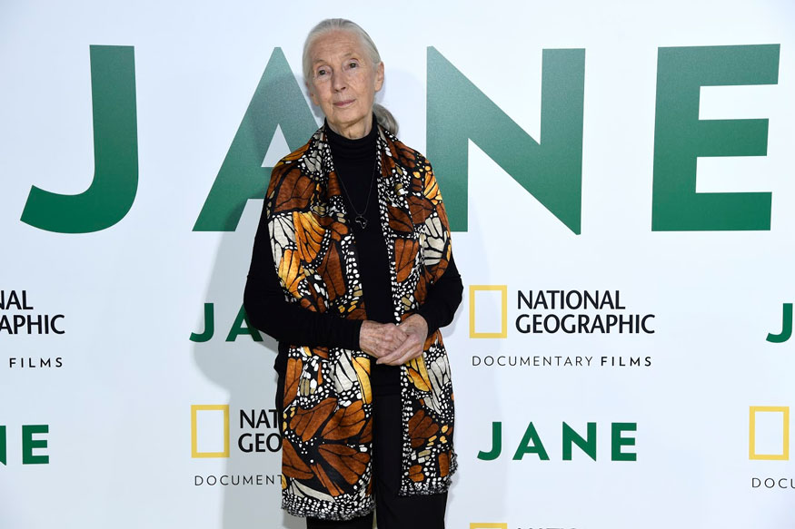 'Jane' Premiere in Los Angeles - News18