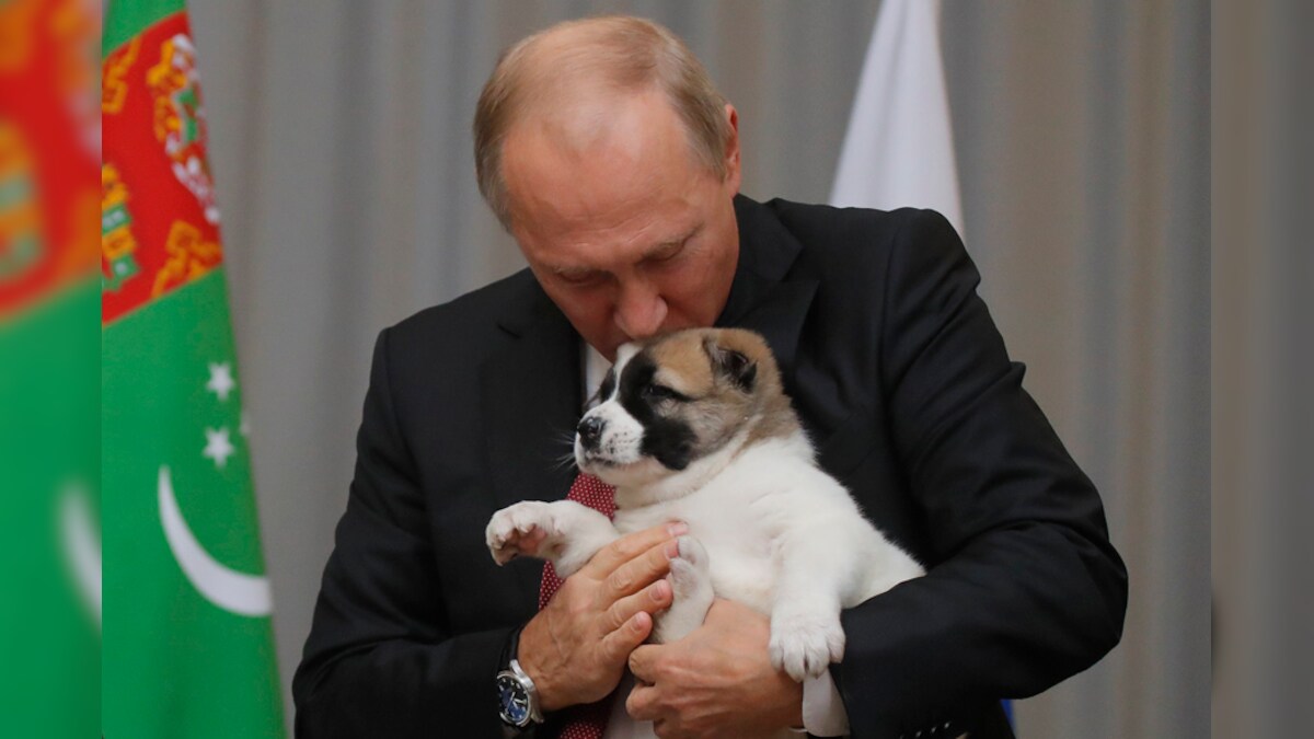 Dog Lover Putin Gets Top Breed Pup as Gift From Turkmen Leader - News18