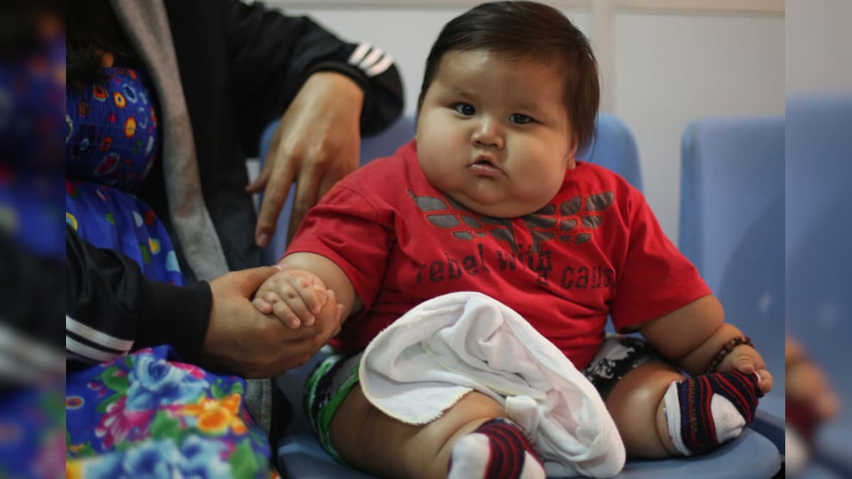 India is Malnourished Yet Obese. We Can't Feed Rice, Wheat to The ...