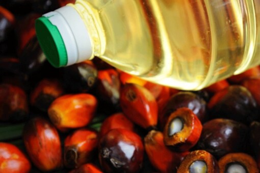 Vitamin E Extract from Palm Oil Boosts Immunity, Here's How You Can Add ...